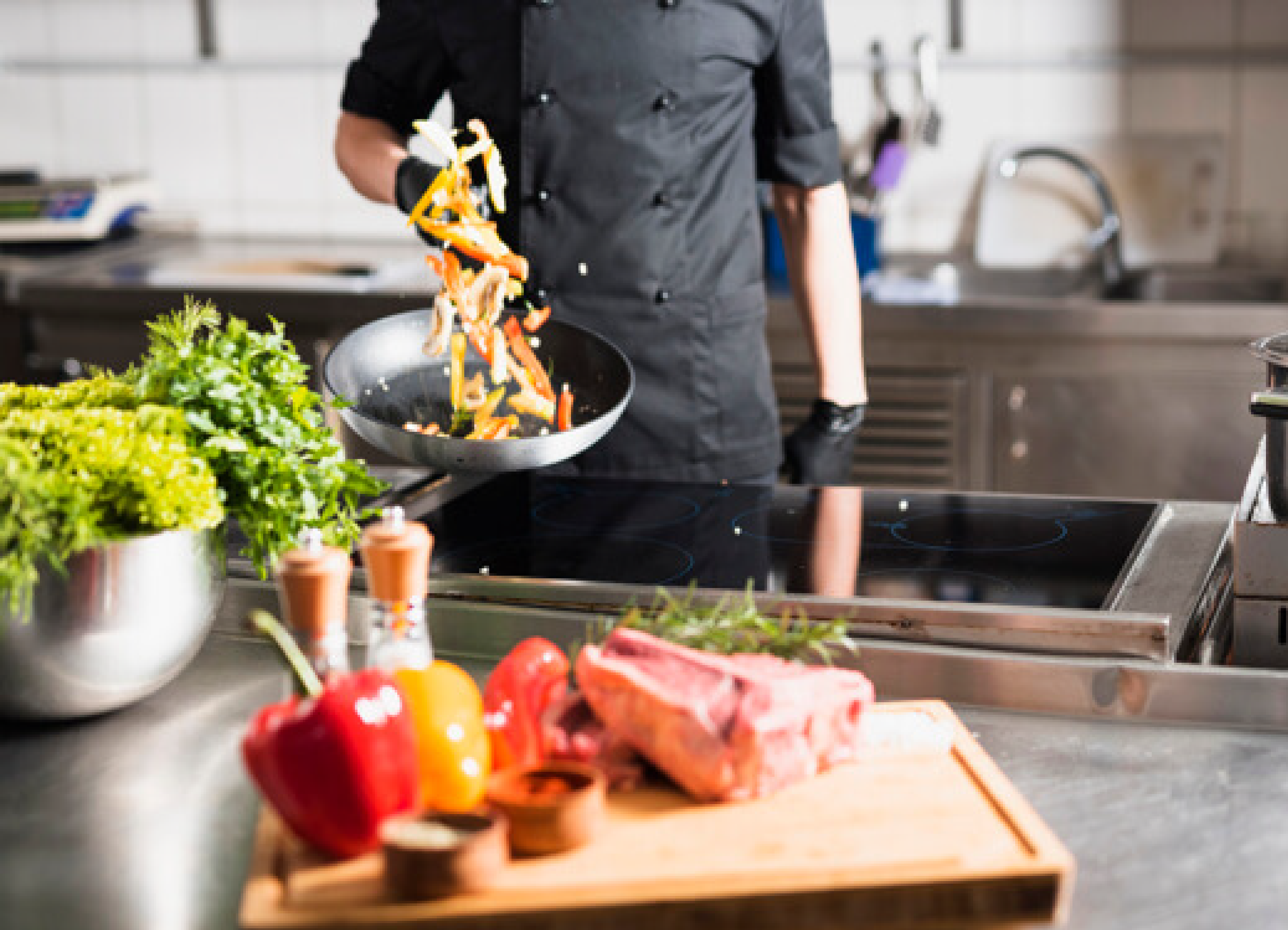 HACCP e o controlo de pragas: Garantir a segurança alimentar - RATATUI